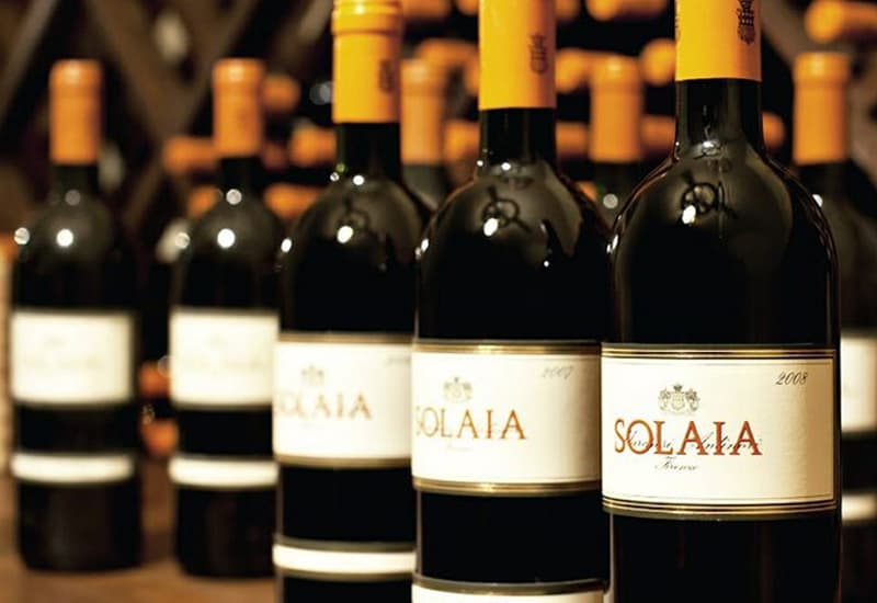 Solaia (Winemaking, Best Wines to Buy in 2021)