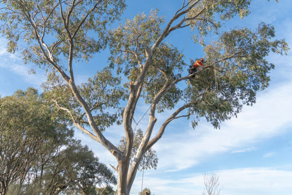 Sustainability: We’re committed to delivering sustainable services ...