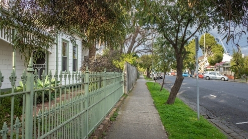 How To Use Possum Banding To Protect Your Trees | Trav's Tree Services