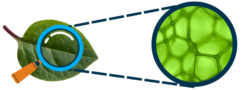 Children's Science Center