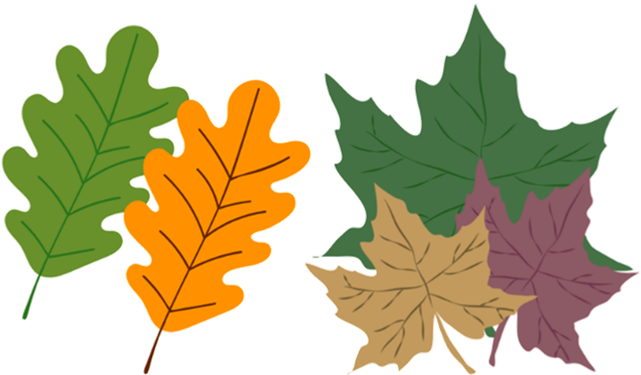 Children's Science Center