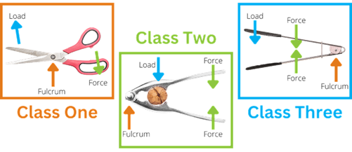 Children's Science Center