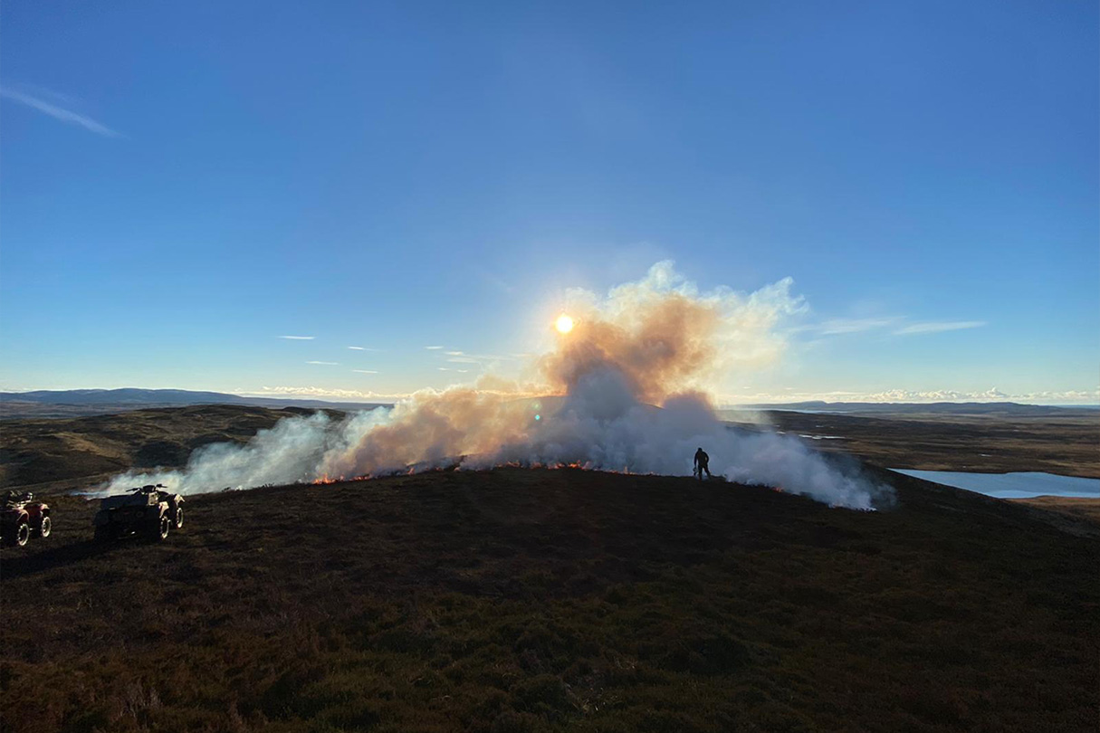 Estate News March | Islay Estate