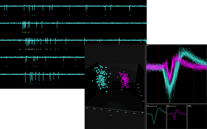 Neuronal & stem cell cultures - 3Brain