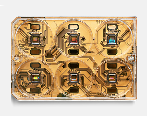 Newest generation of HD-MEAs : Accura-3D