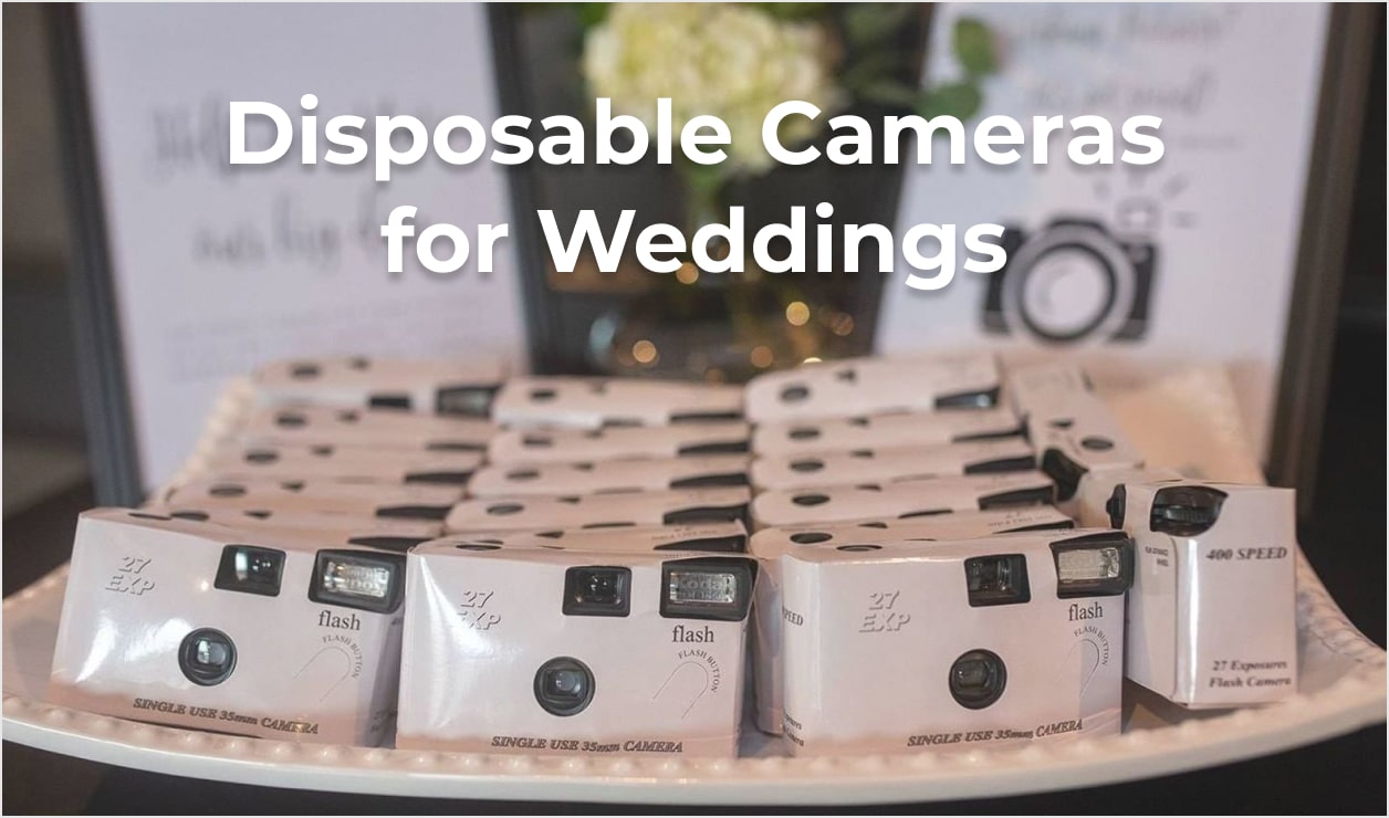 Collecting Wedding Photos from Guests [Best Ways in 2024]