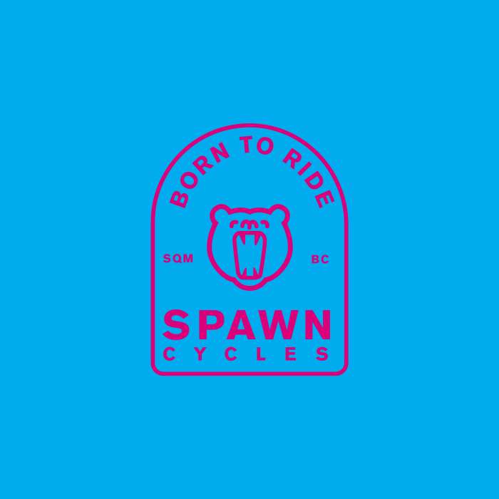 Design & Branding Spawn Cycles