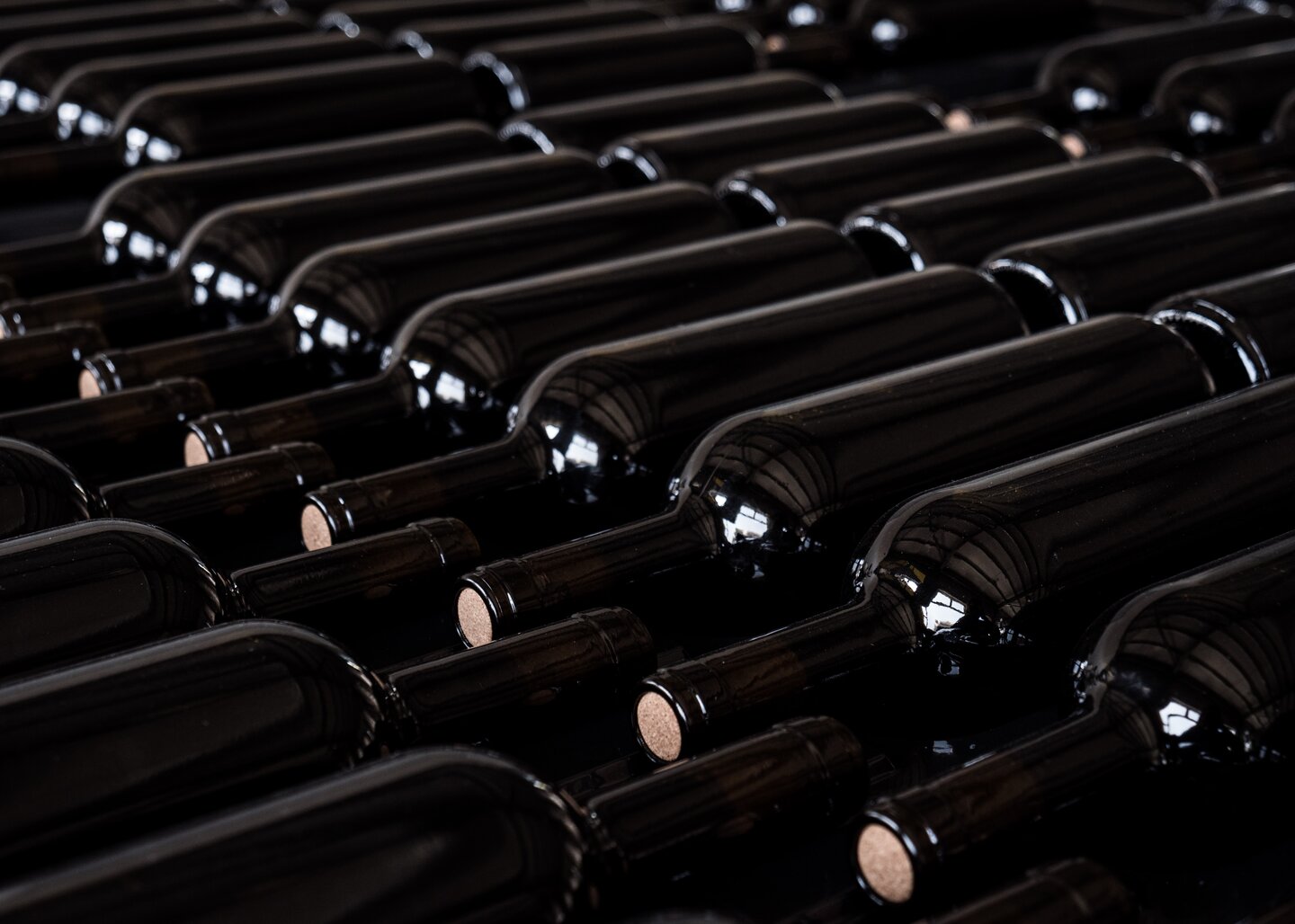 Wine Names and Wine Varietals: Guide to Wine Types