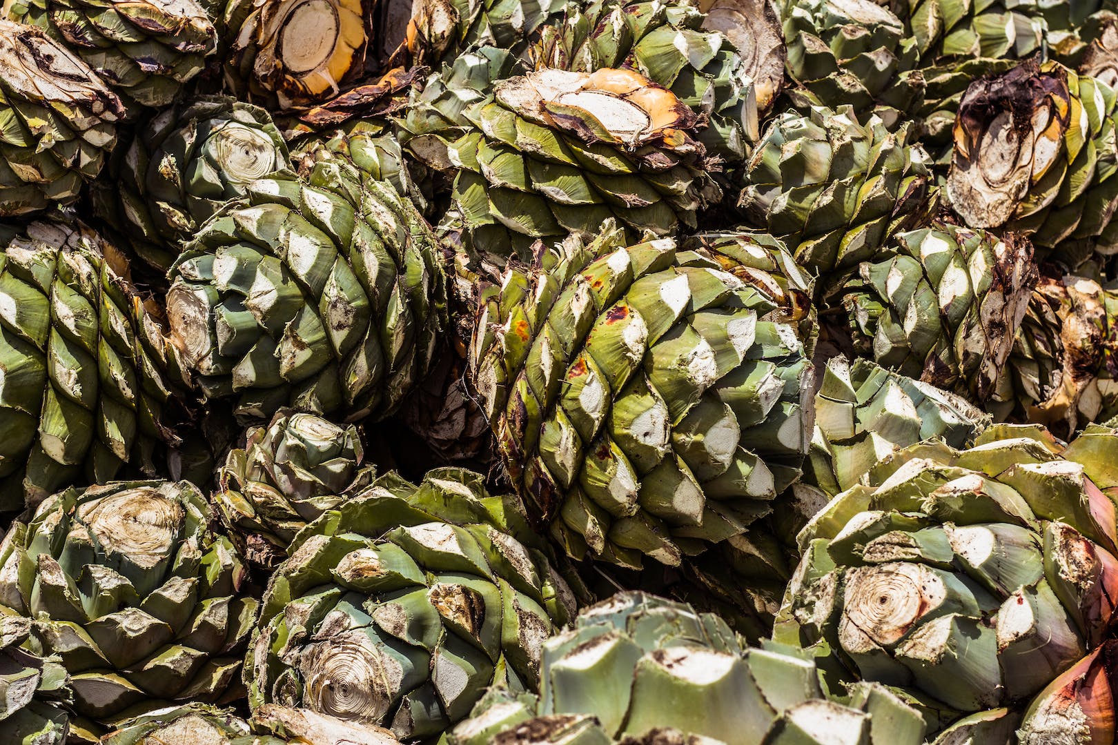 Tequila vs. Mezcal in History, Production, and Flavor Profile
