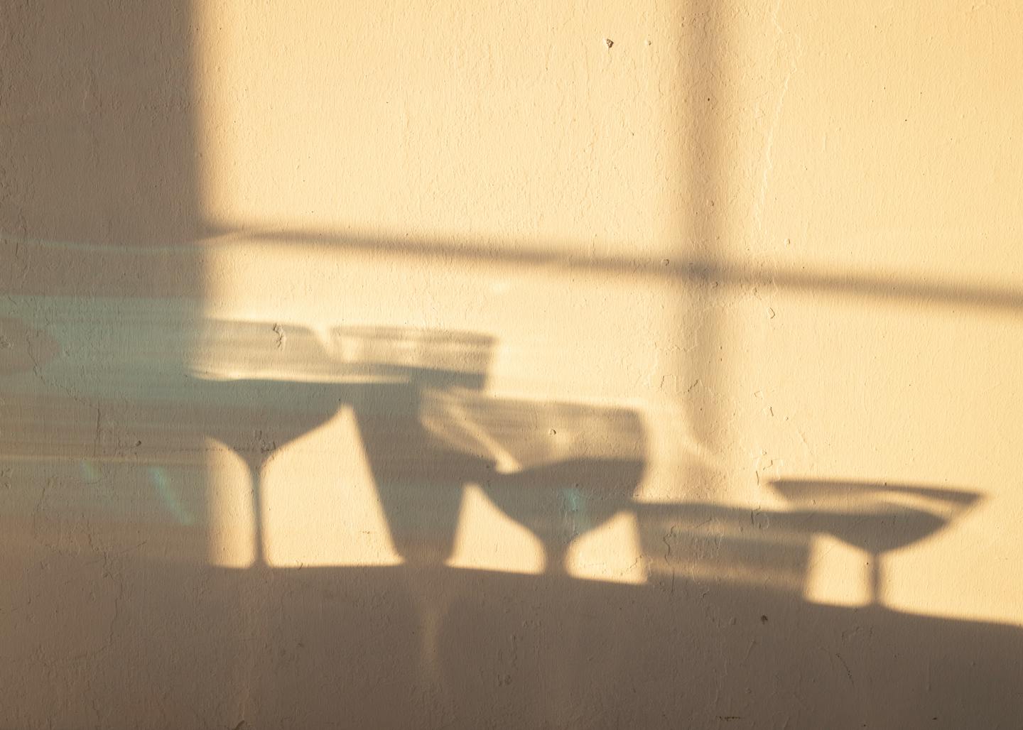 What Is Palm Wine? | Interesting Facts about Its Origin