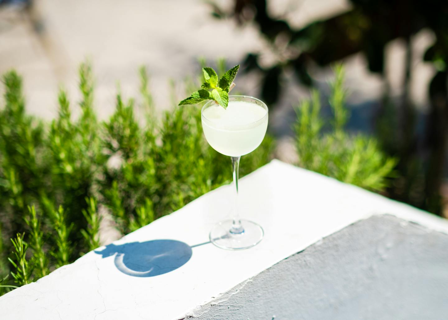 Make Your Offers Unique with These 5 Palm Wine Cocktails