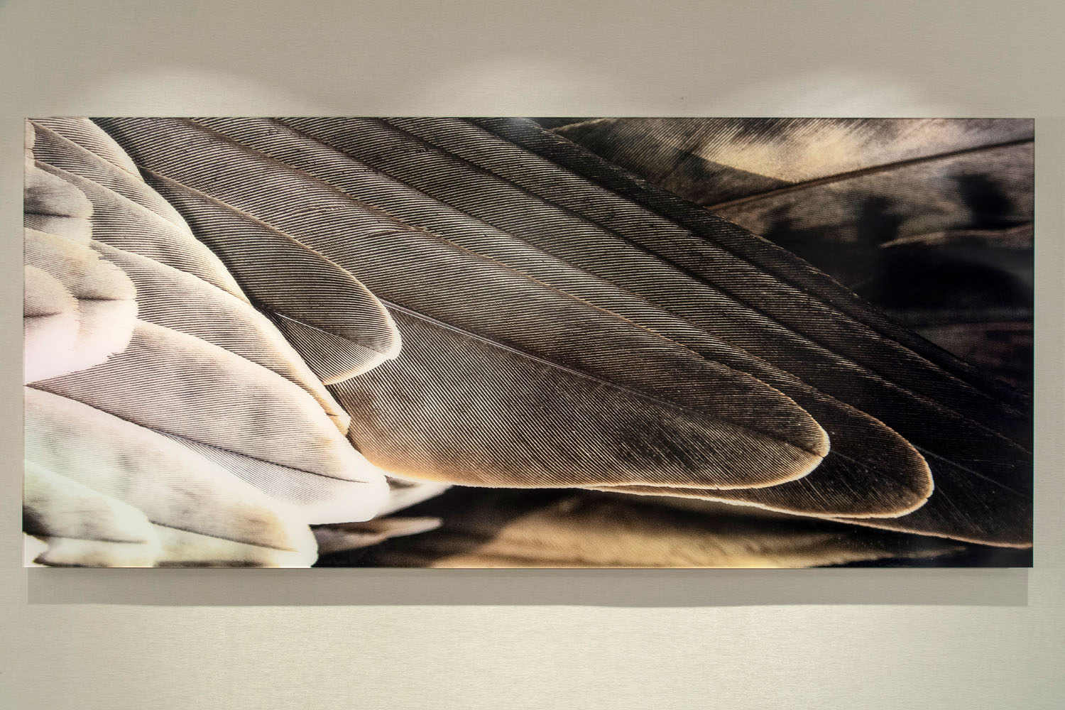 The 1970s - Atlanta Falcons – by Sandee Oliver Bartkowski | Art ...