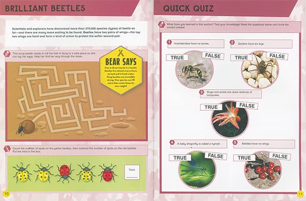 Bear Grylls: Beastly Bugs Activity Book by bear grylls | PaperPie