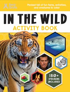 Bear Grylls: Beastly Bugs Activity Book by bear grylls | PaperPie