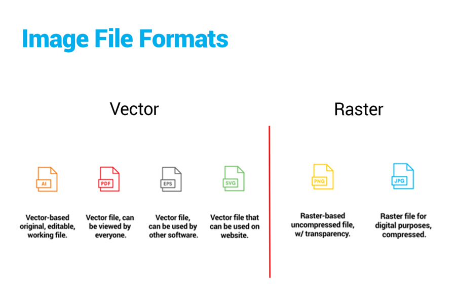 Vector vs. Raster: Which is Better for Logo?