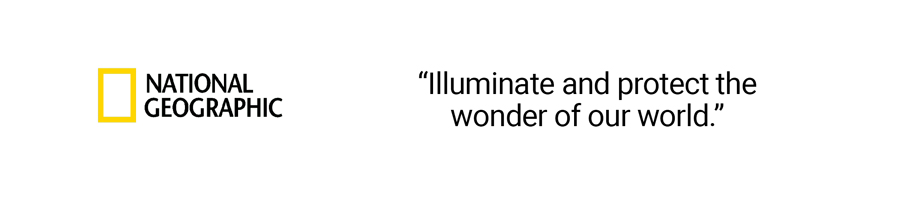 The Explorer Archetype: 10 Branding Examples