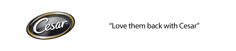 The Lover Archetype: 10 Branding Examples