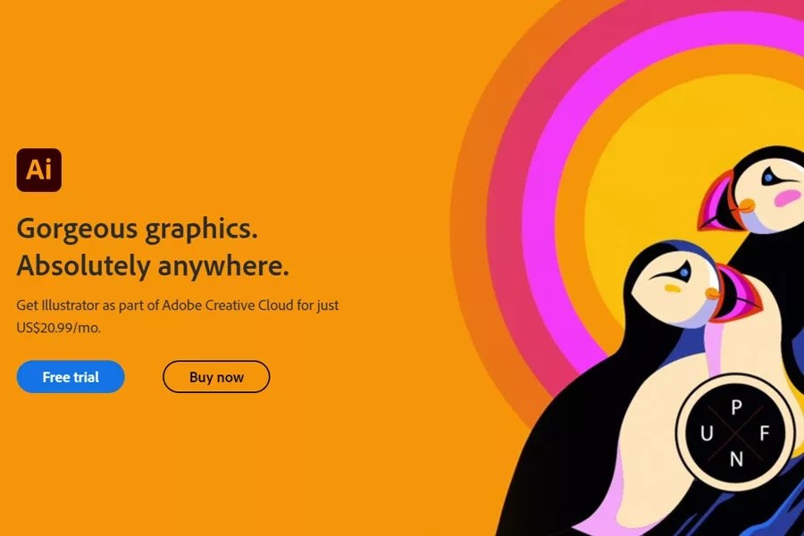 Adobe Software List: What Apps Do You Need?