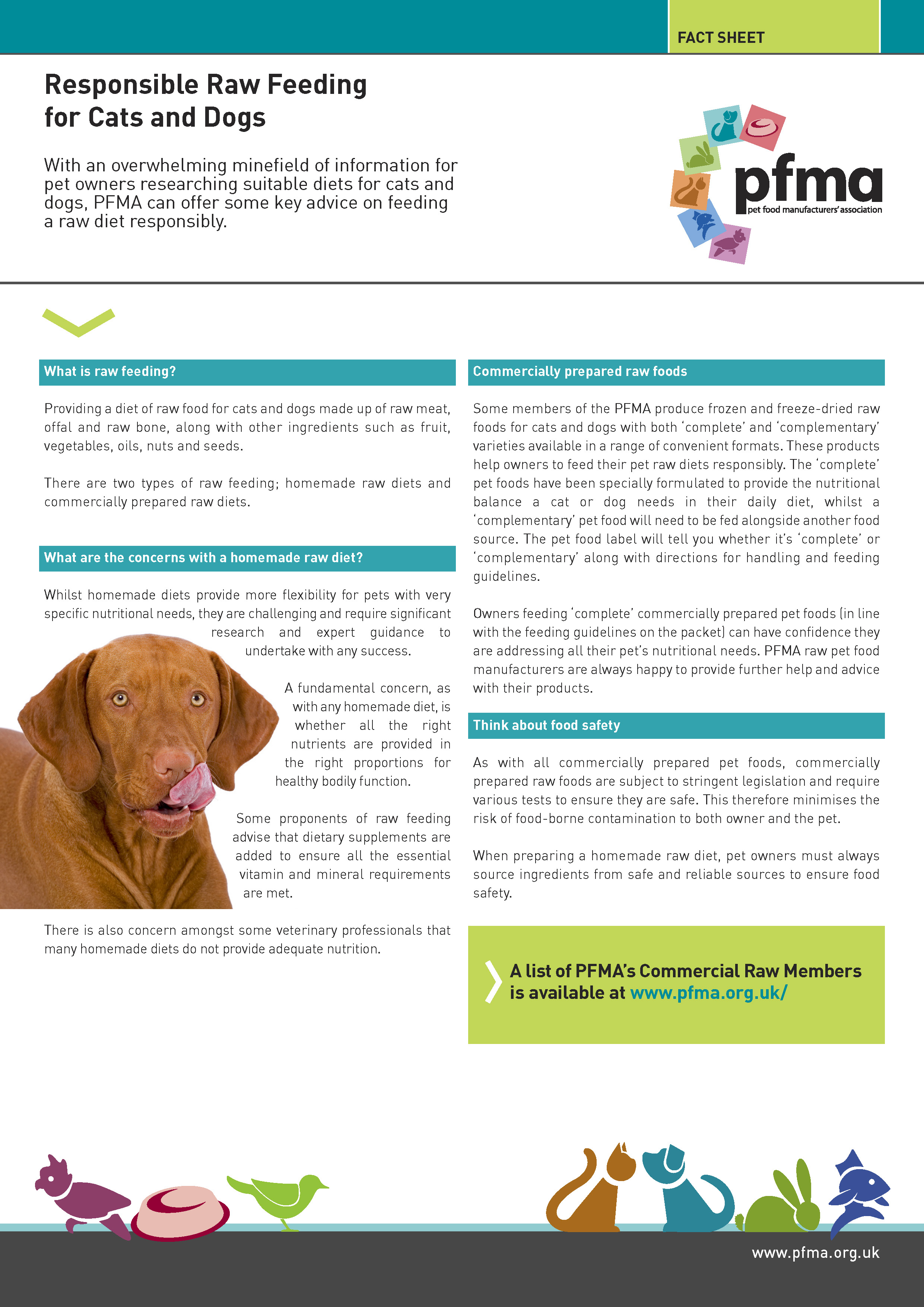 How to feed raw safely