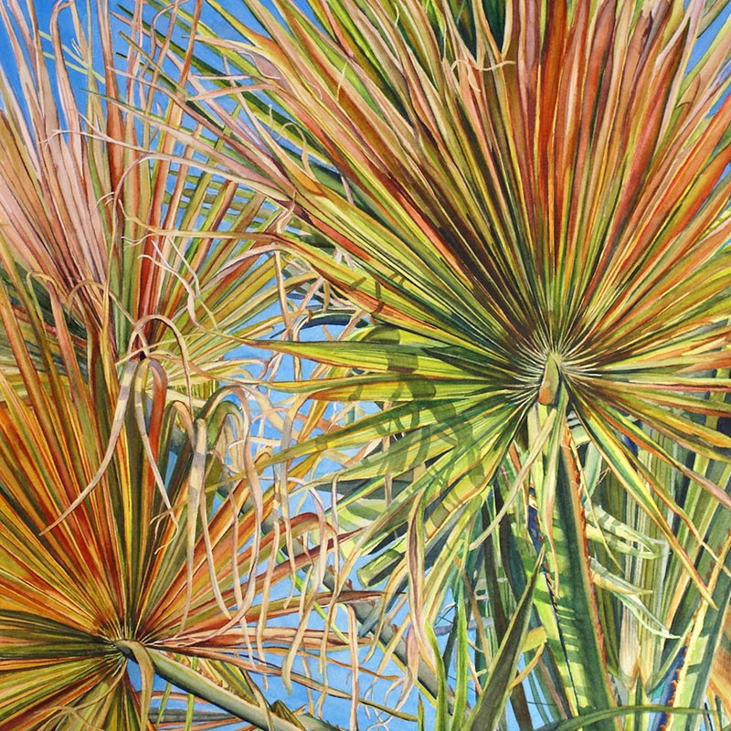 Patty Healy - The Northrup King Building