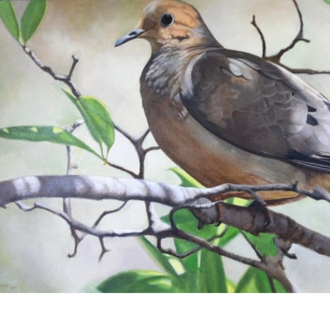 Eric Cornett - The Northrup King Building