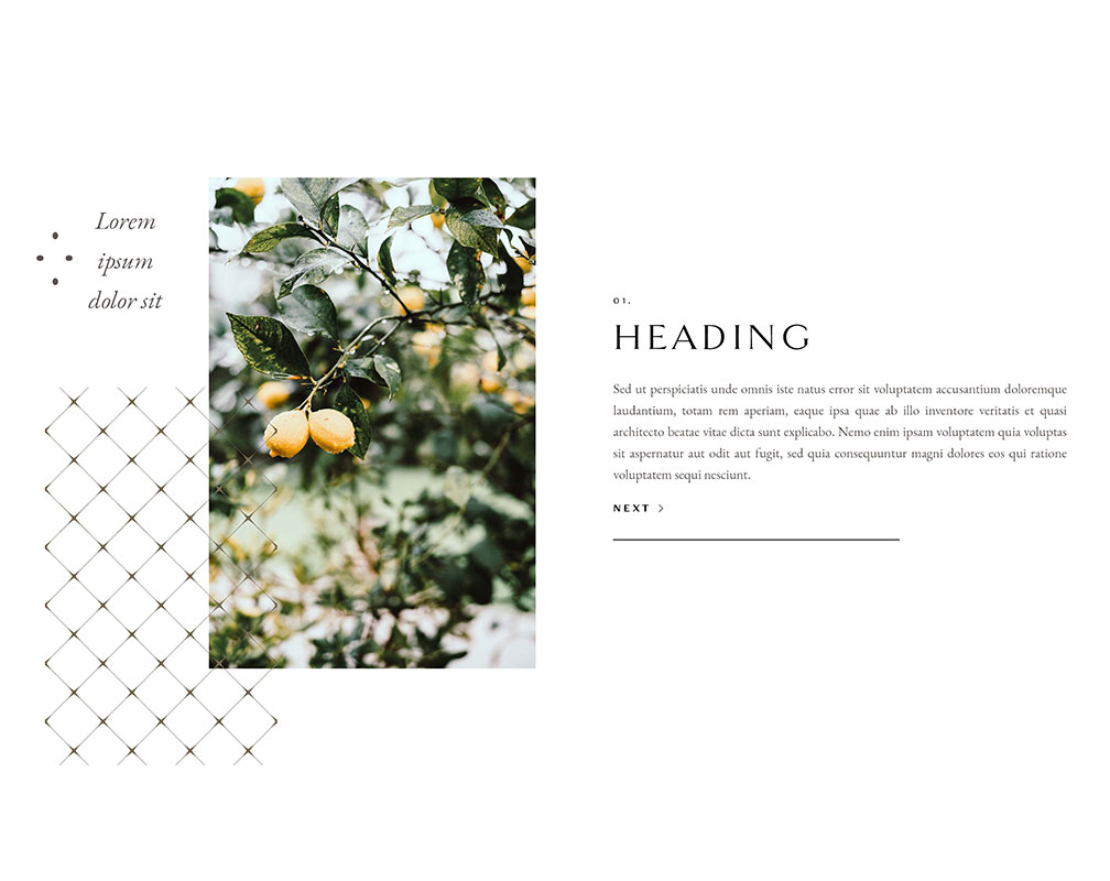 Rachel Gill Design | Maryland