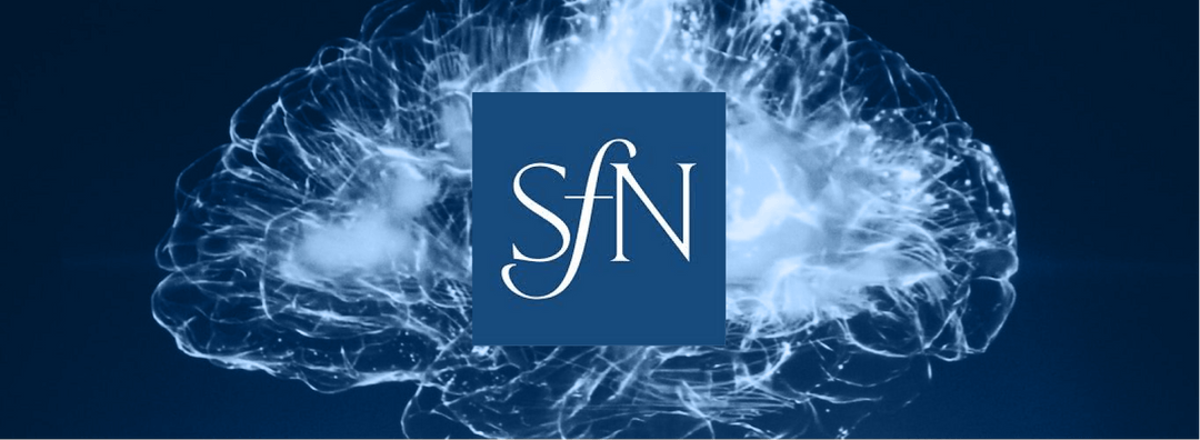 Flow Research - Insights, Data and Findings