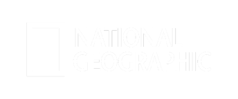 Flow Research Collective — Leading Voice In Performance