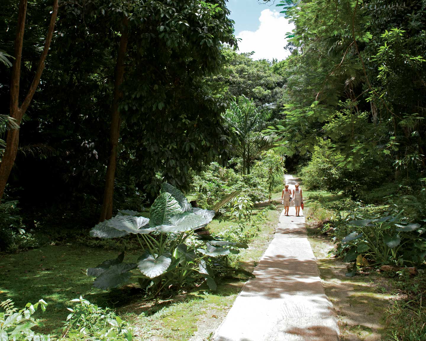 Welchman Hall Gully