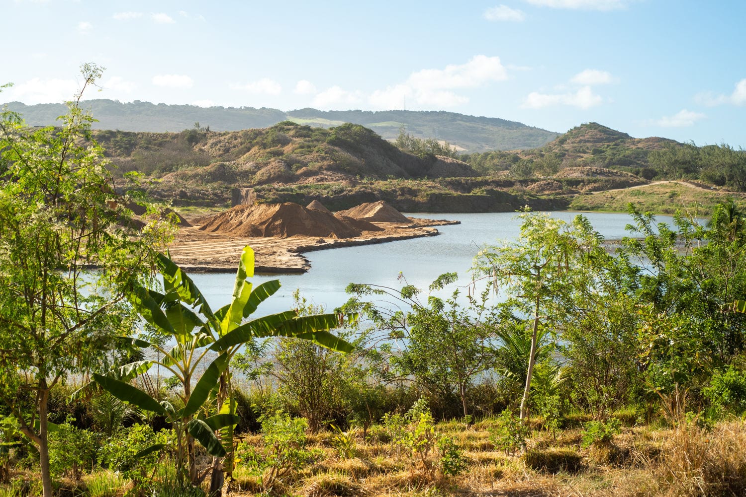 Walkers Reserve | Ins and Outs of Barbados