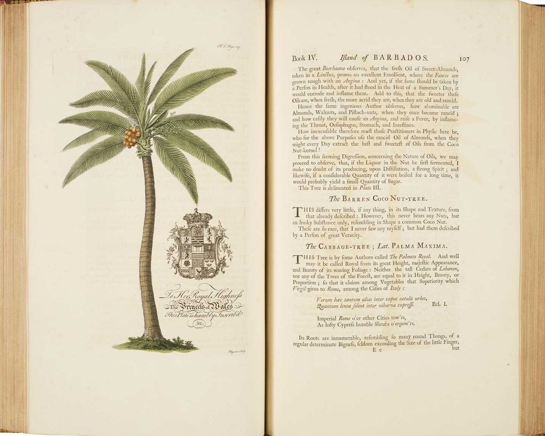Four Centuries of Barbadian Migration | Ins and Outs of Barbados