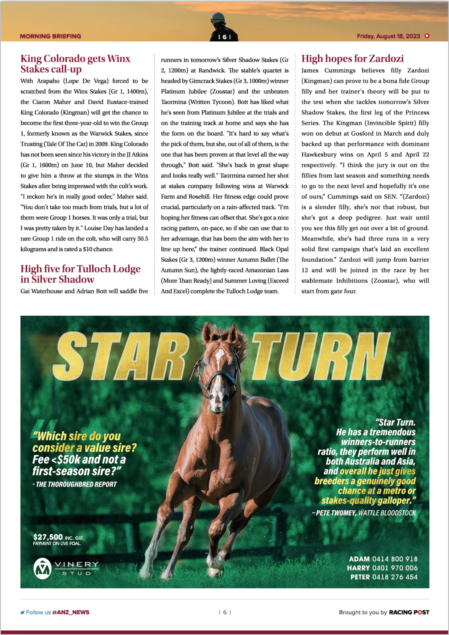 Vinery Stud - Thoroughbred Industry Graphic Design