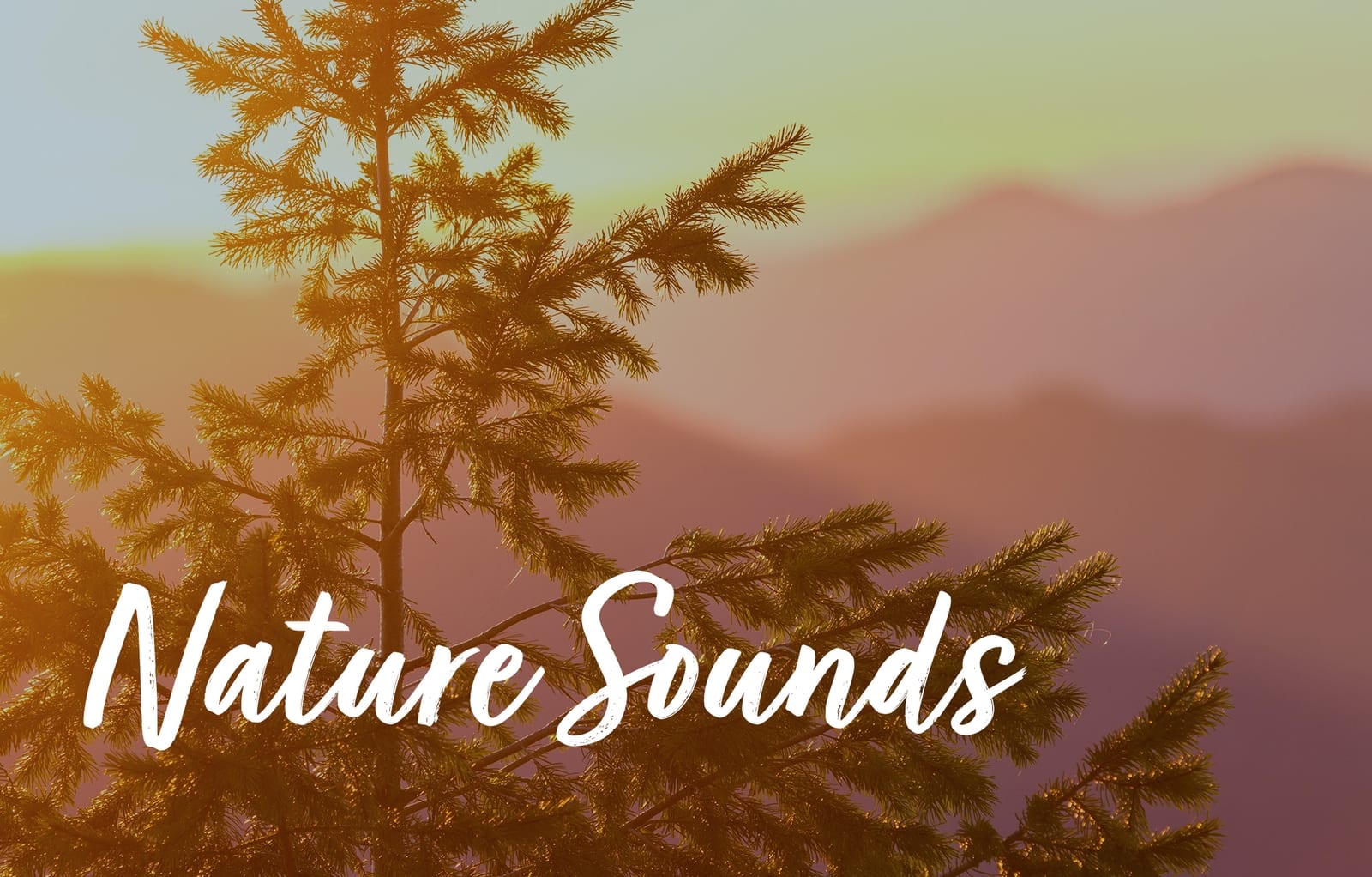 Breethe: The meditation app that cares about you