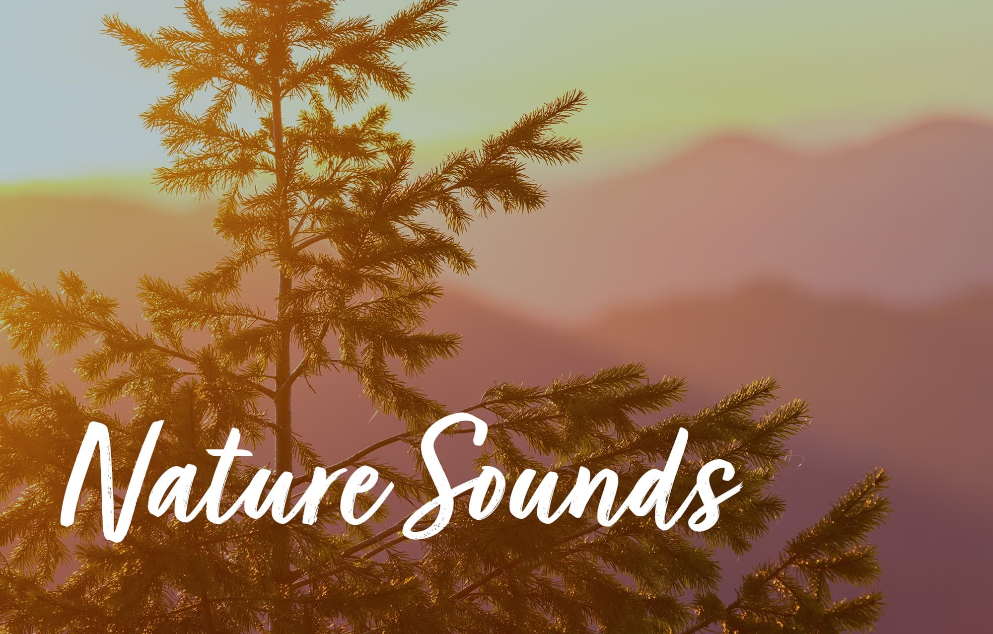 Breethe: The meditation app that cares about you