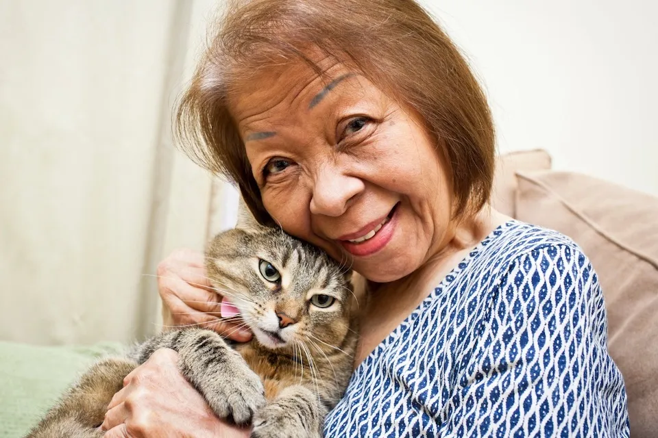 How Pets Add Value to Our Lives