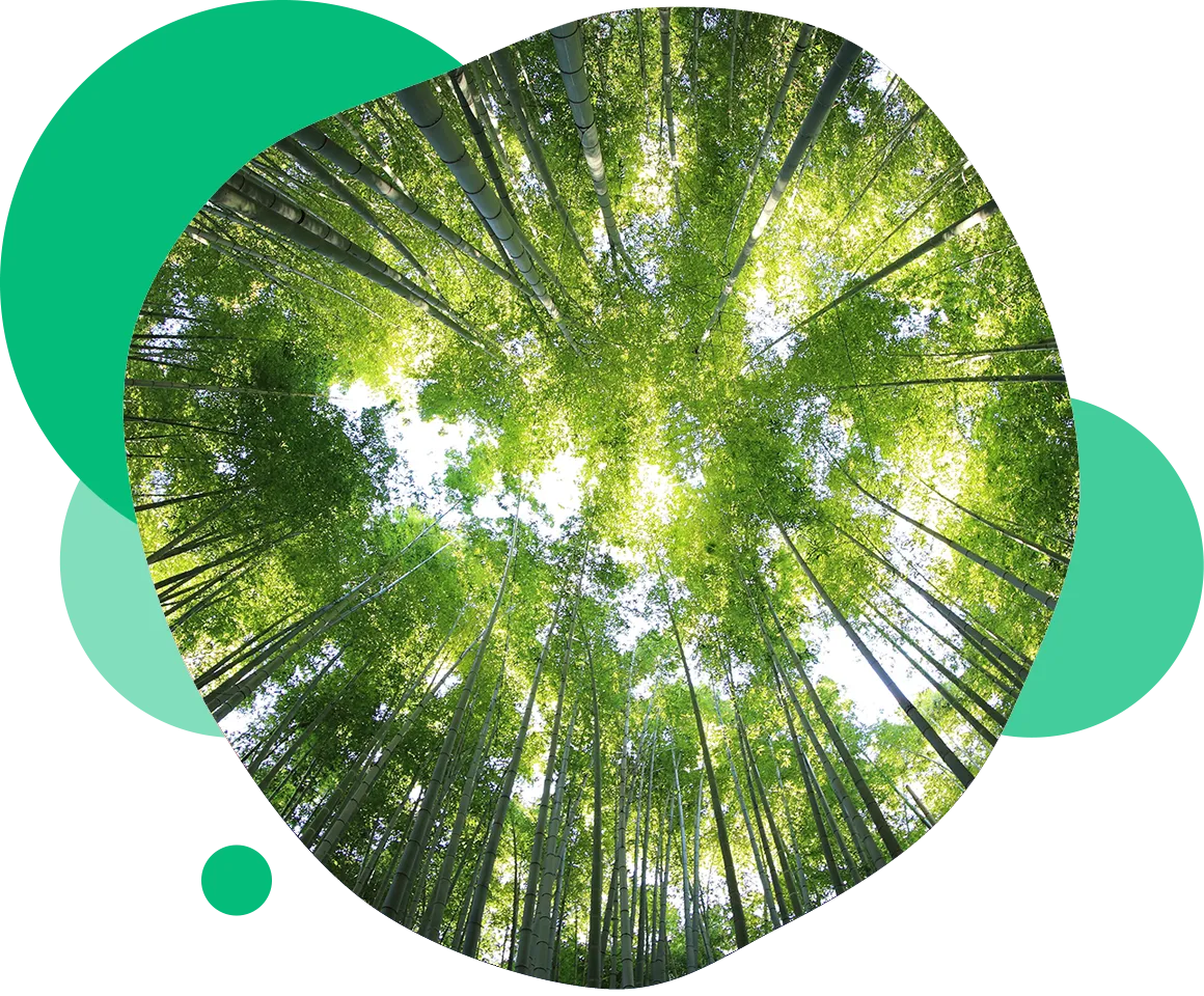 End-of-life options: A comparison guide