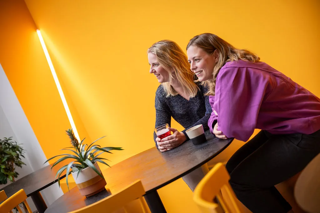 Over Ons - Studio Flabbergasted