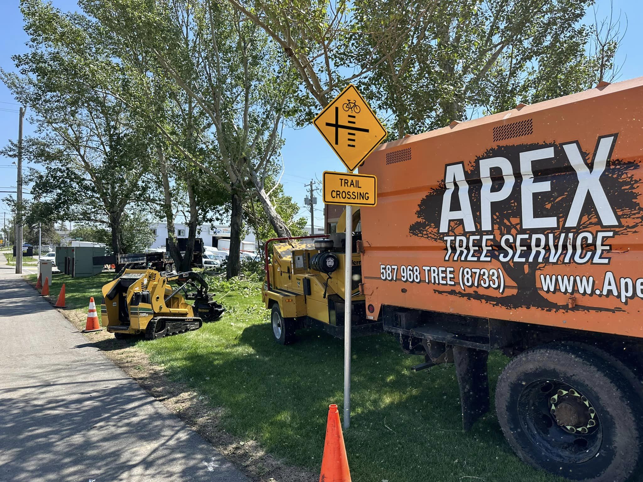 Calgary Tree Removal Prep: Easy Step-by-Step Guide | Apex Tree Service