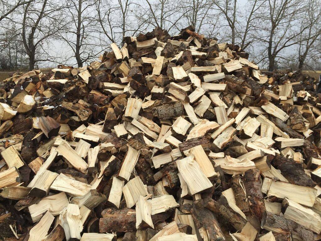 Tree Removal Wood: Who Hauls It? | Calgary's Apex Tree Service