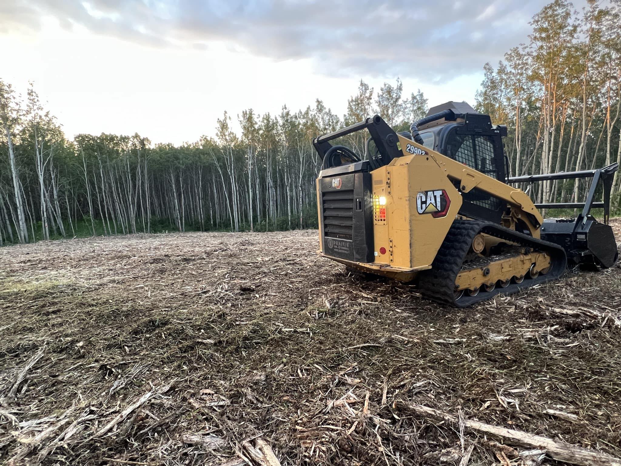 Calgary Forestry Mulching Explained: Efficiency, Benefits, Apex Tree