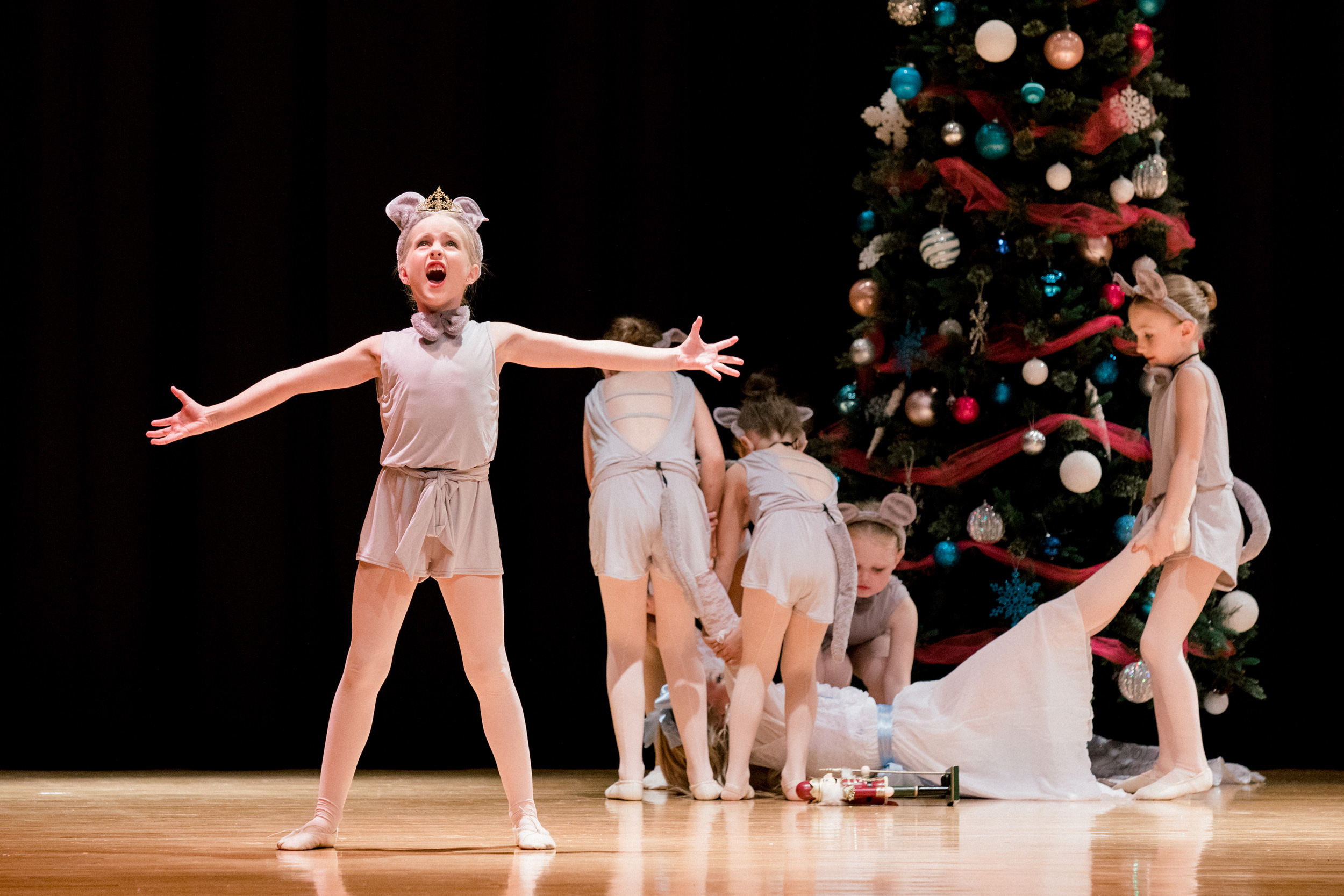 The Nutcracker – Arts Center of Coastal Carolina