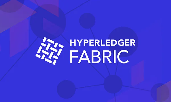 Hyperledger Fabric | Build & Deploy Networks Quickly