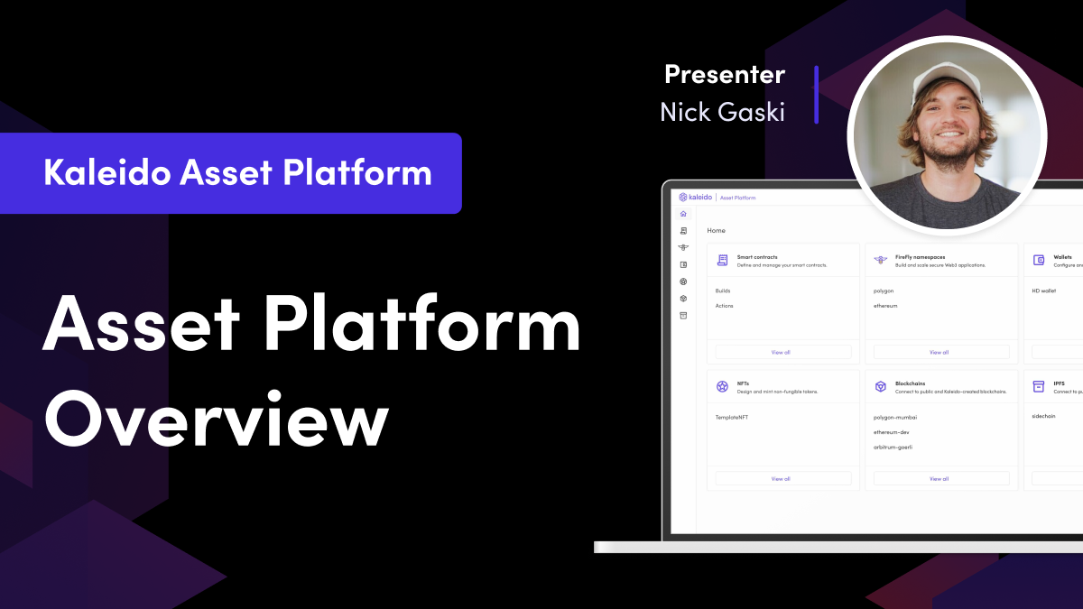 Kaleido Asset Platform In-Depth: Platform Overview