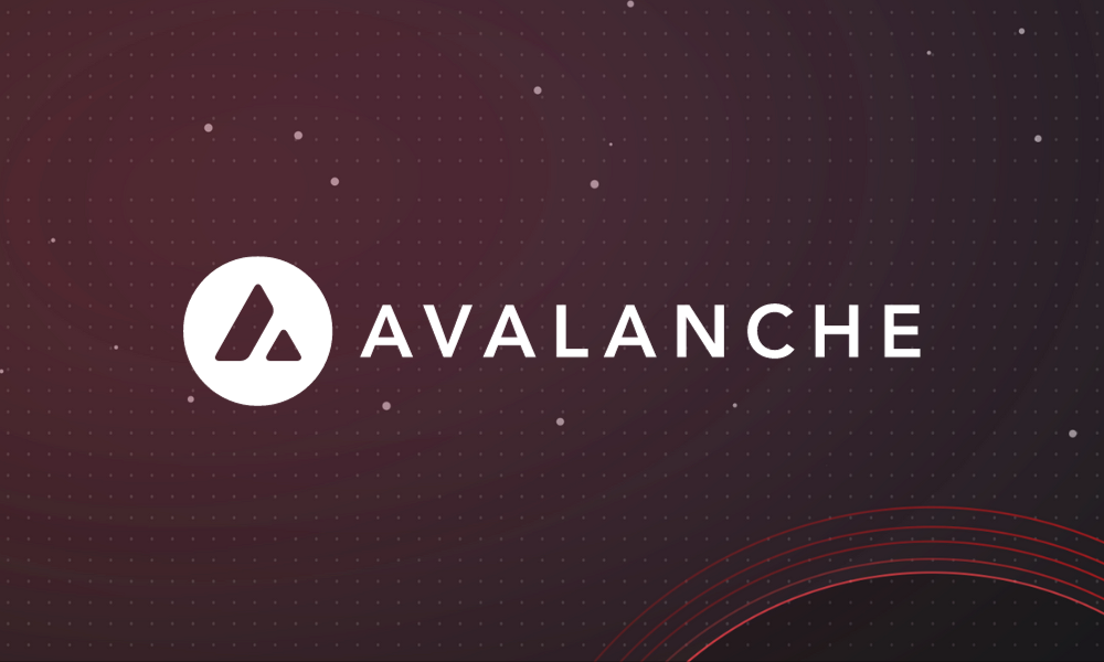 What Are Avalanches 3 Blockchains?