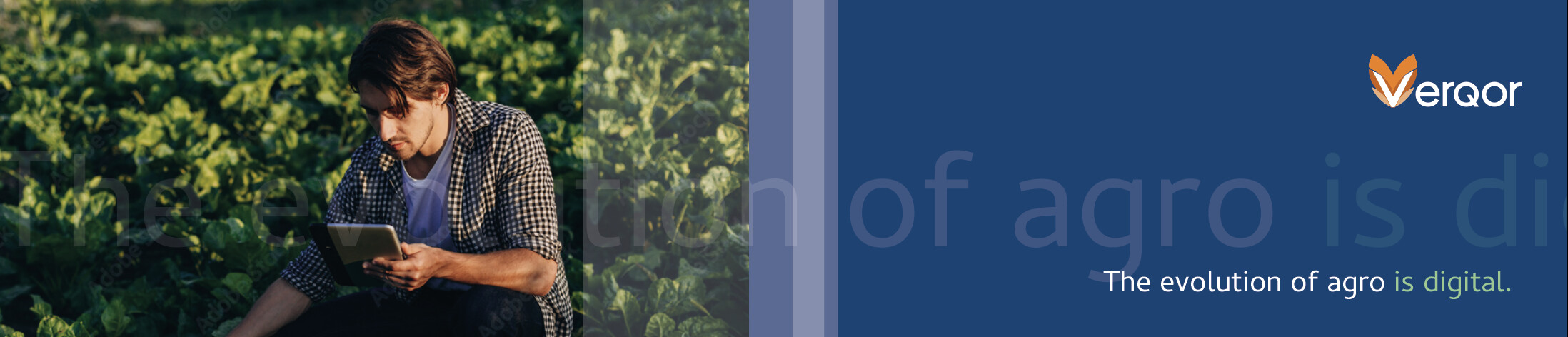 Verqor | Latam Fintech Hub