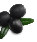 La carte de la brasserie le M by MHR