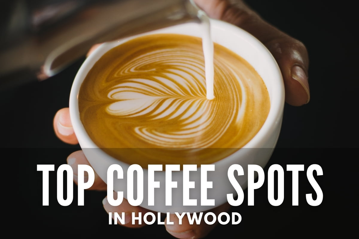 Top 6 Spots for the Best Coffee in Hollywood
