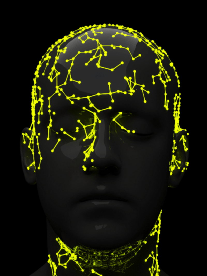 Library of Content - The Algorithmic Justice League