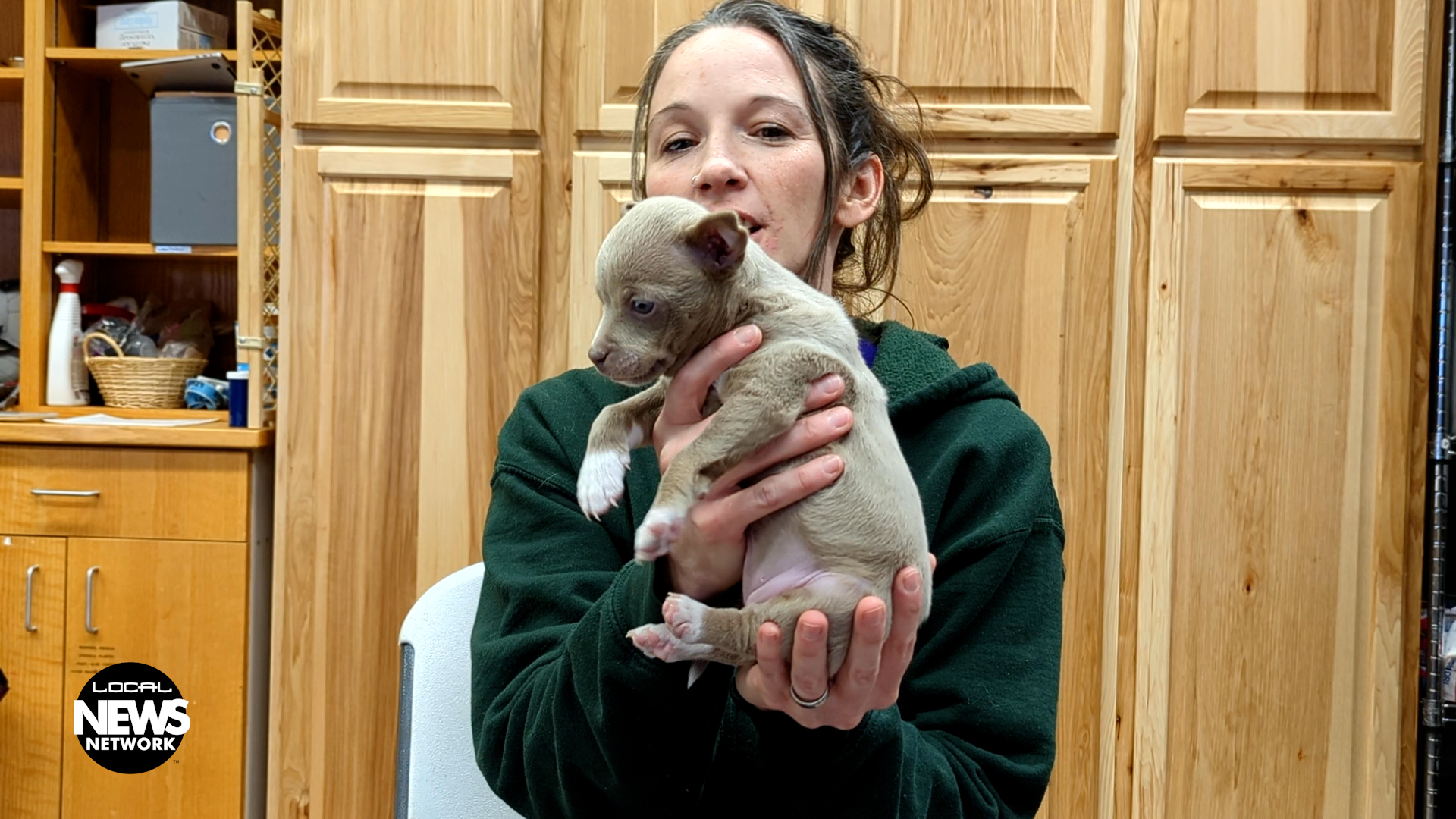 La Plata County Humane Society Hopes for Banner Year