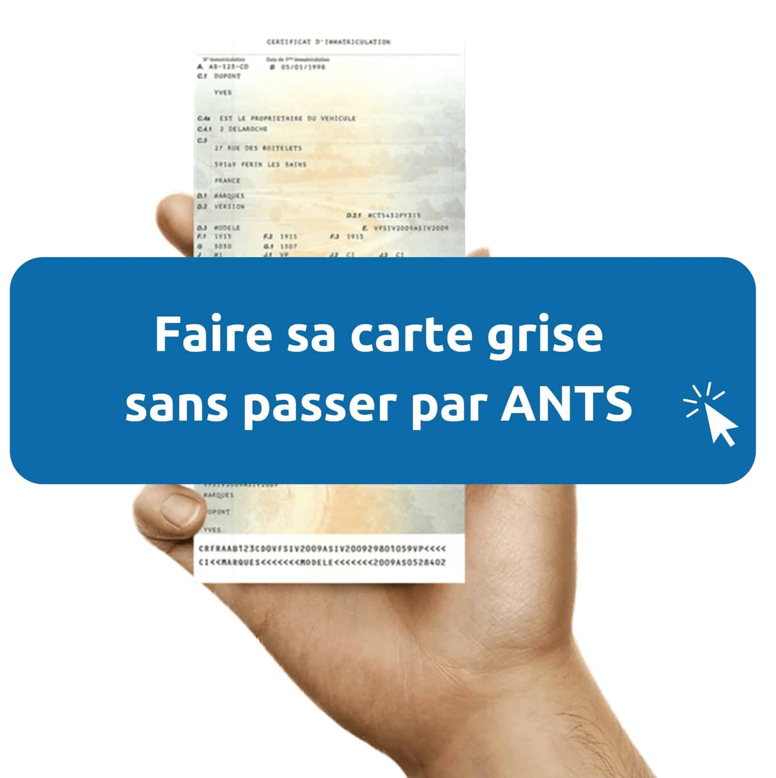 Carte Grise Ants